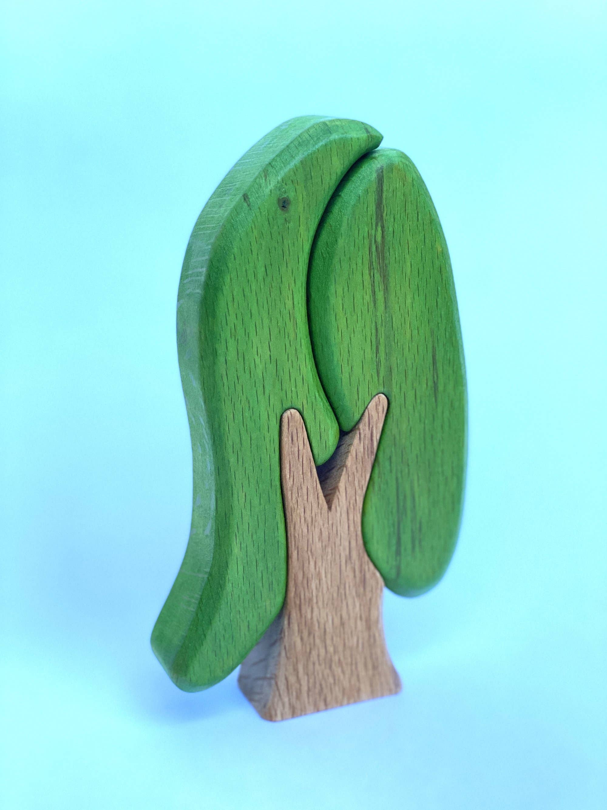 Willow Tree – Acorns & Twigs