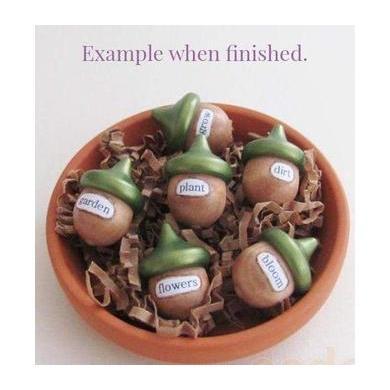 Buy A Set of 10 Unfinished Wooden Acorns Online | Acorns & Twigs